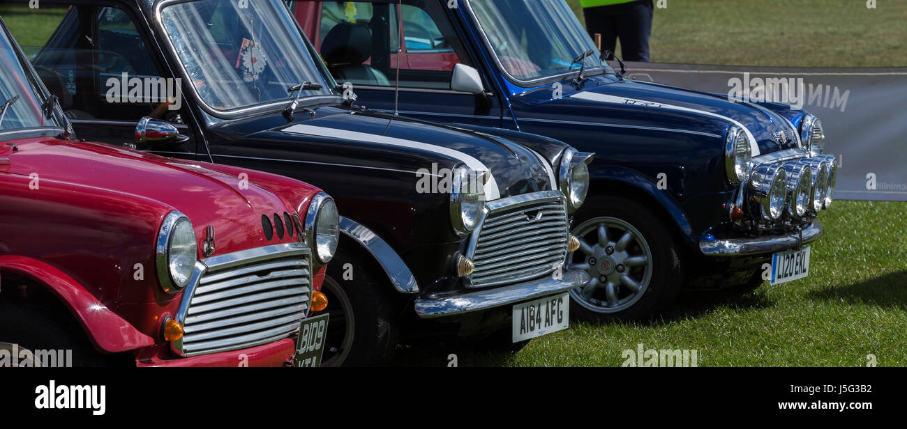 Line-up of Classic Mini Front Ends Stock Photo - Alamy