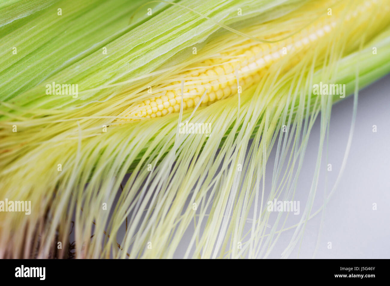 Parts of baby corn Stock Photo - Alamy