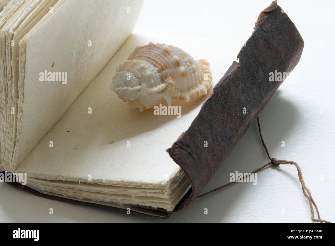 book with shell Stock Photo - Alamy