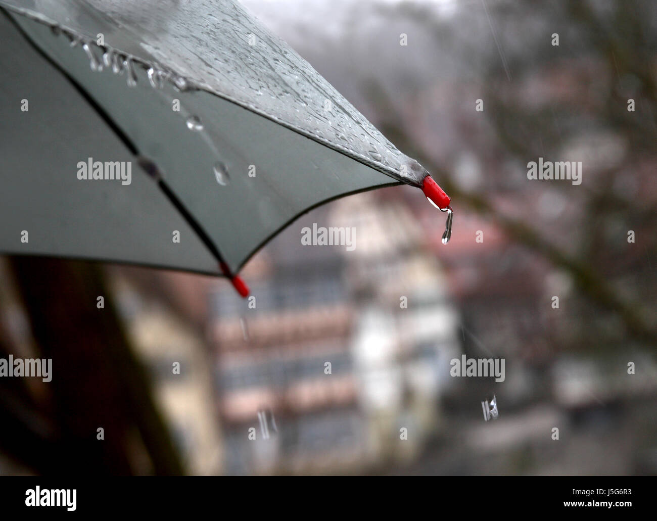 raindrop umbrella wet drip moist melancholic bad weather unintimate ...