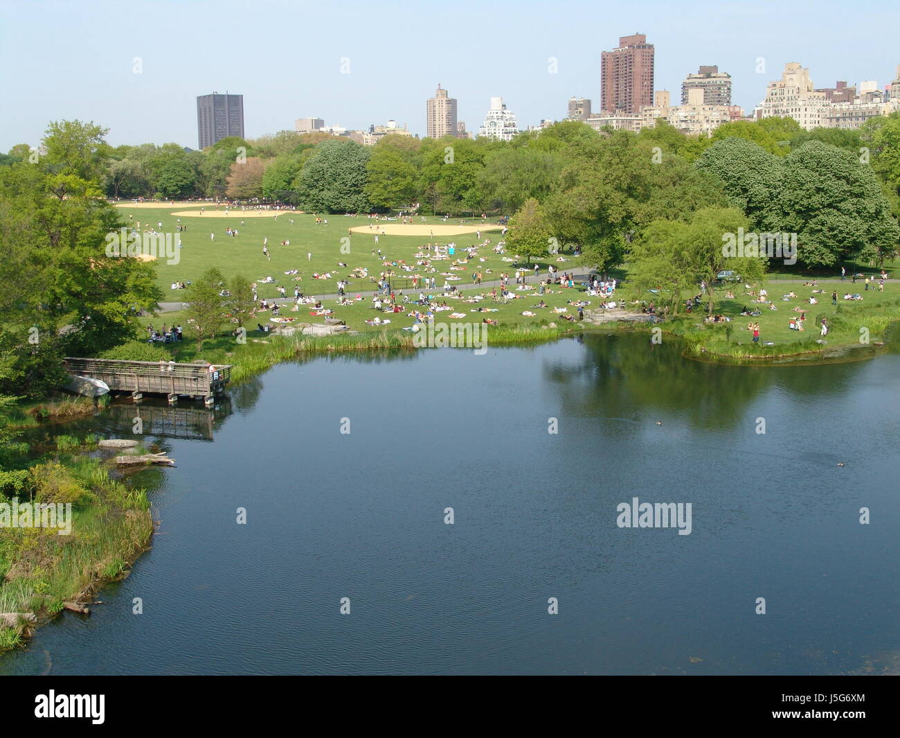 american summer summerly usa america spring meadows business dealings ...