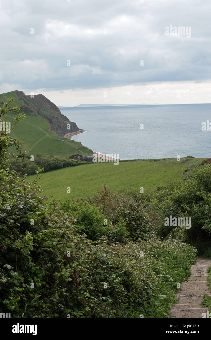 Spectacular views from the top of Golden Cap, Dorset Stock Photo - Alamy