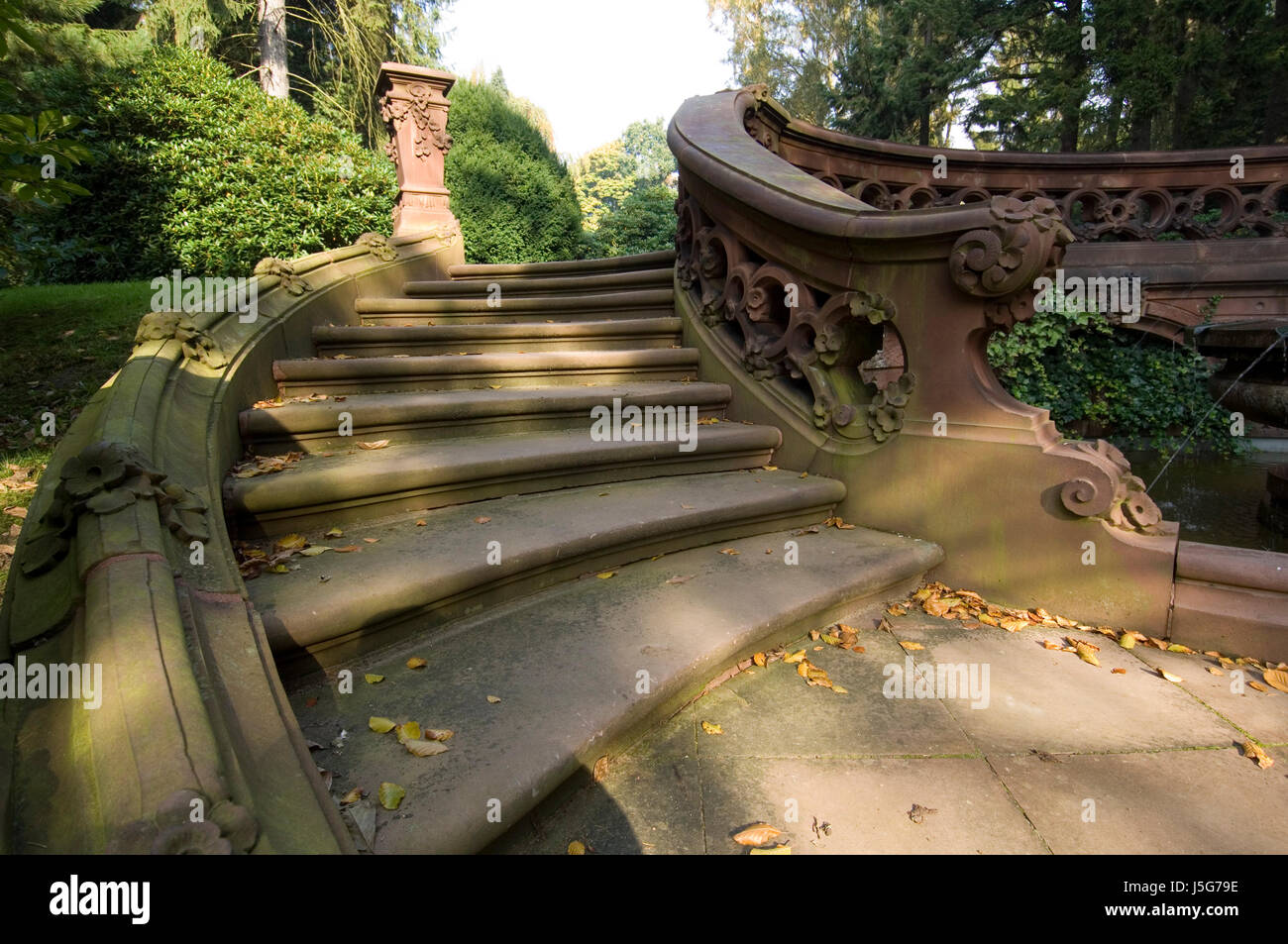 stairs historical tree trees park plant romantic leaves nostalgia rise ...