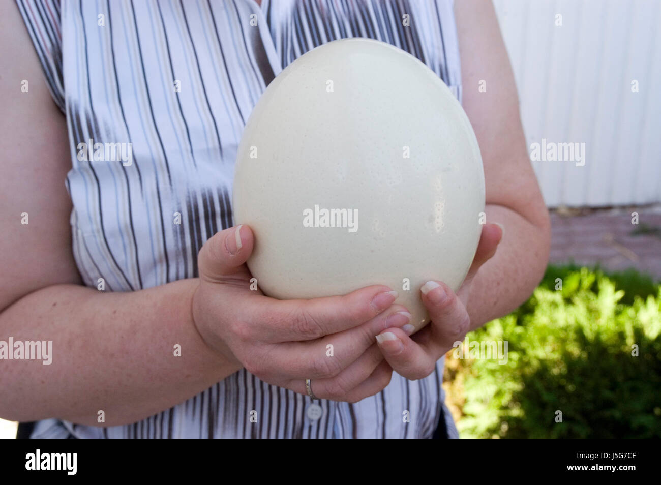 woman hand hands presentation big large enormous extreme powerful ...