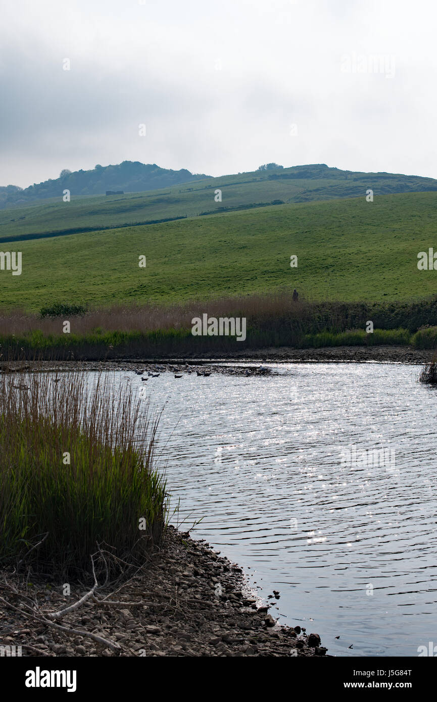 River Char at Charmouth Stock Photo - Alamy