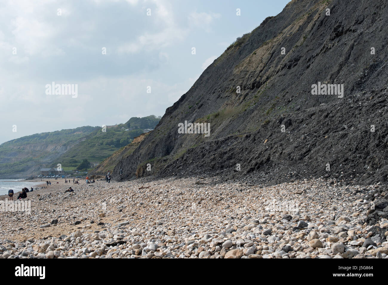 Fossil-enriched cliffs, Charmouth Stock Photo - Alamy