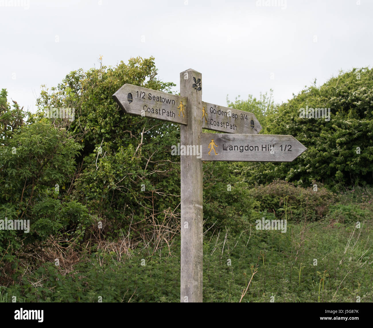 Direction signs on the south west coast path near Golden Cap, Dorset ...