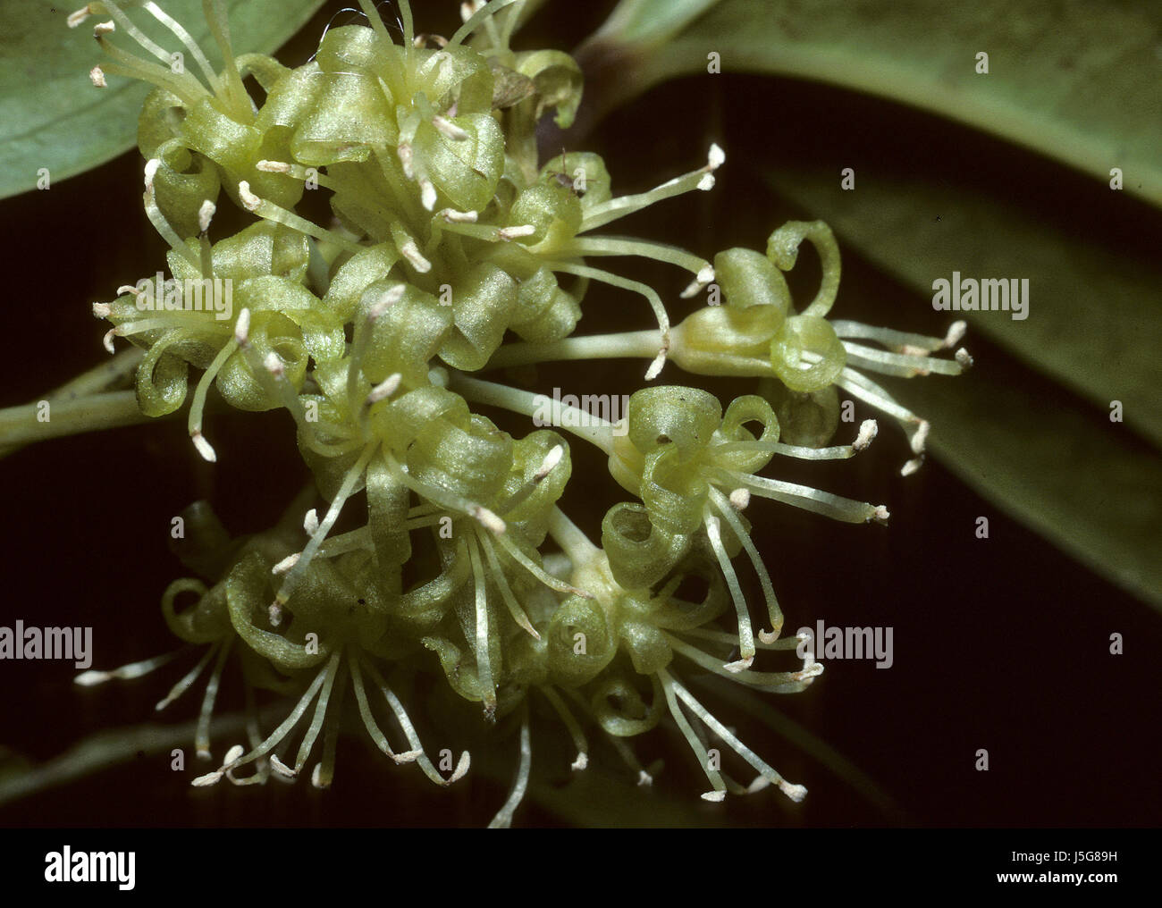 Dunche High Resolution Stock Photography and Images - Alamy