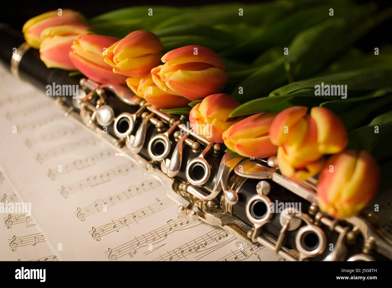 Wind music award hi-res stock photography and images - Alamy