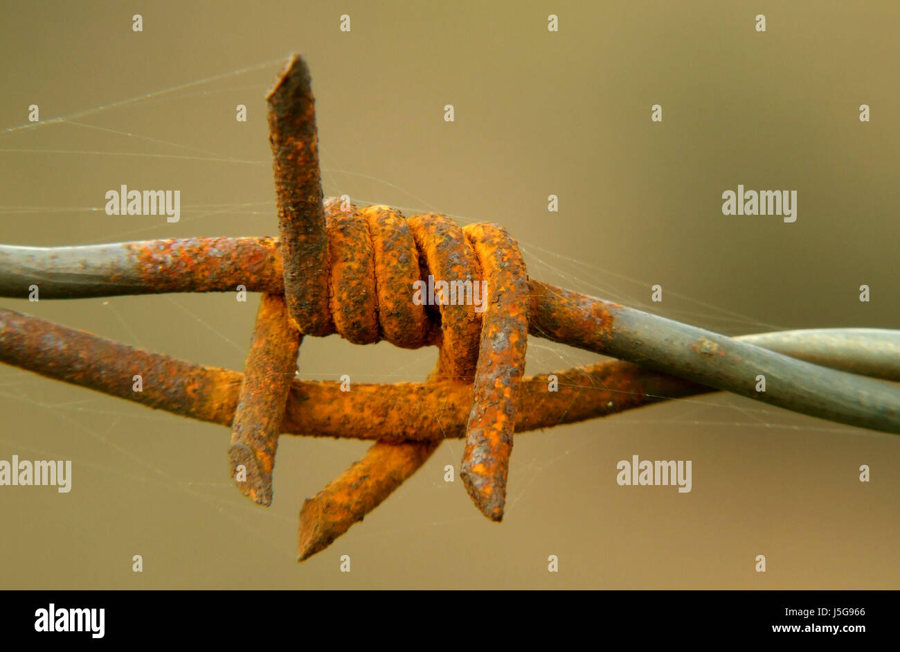 Sting wire hi-res stock photography and images - Alamy