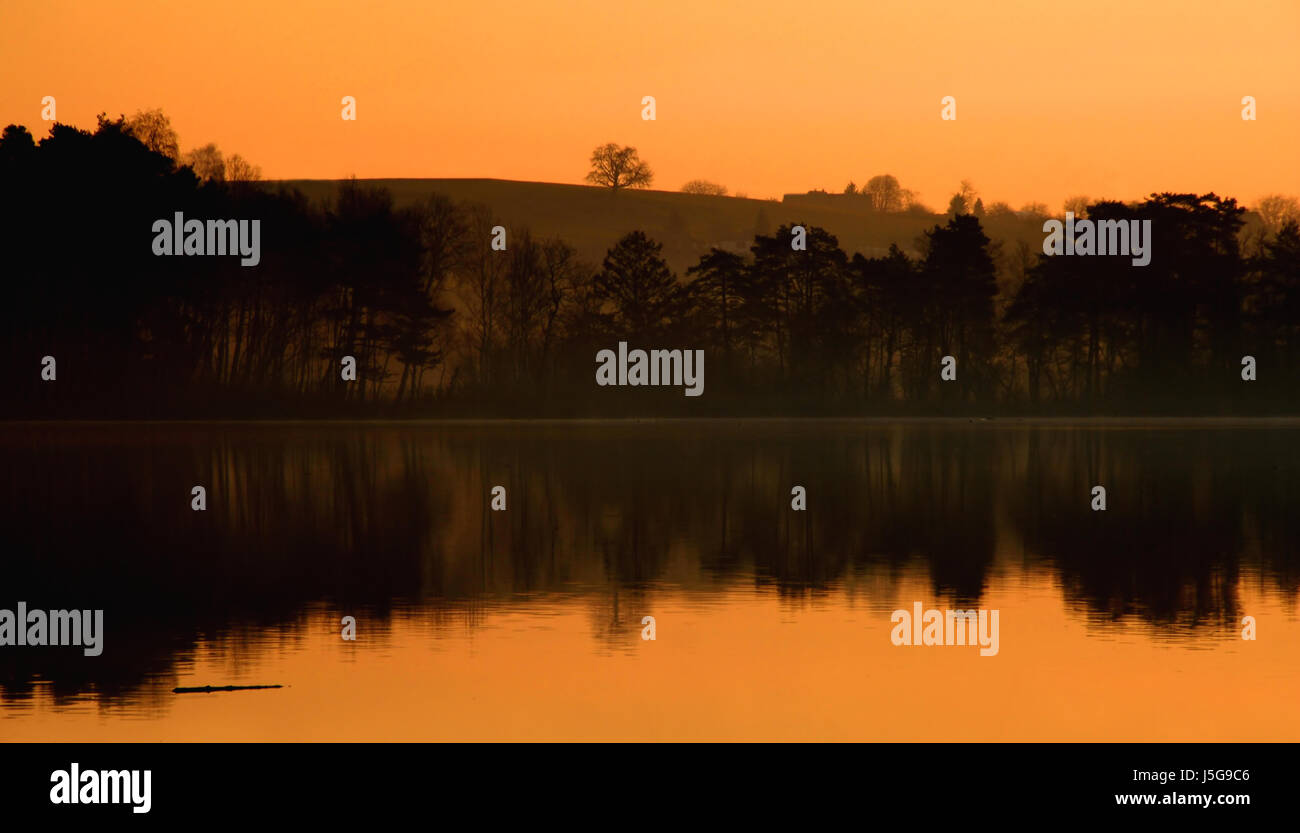 fog sunbeams sunrise reed mood mirroring radiate mystic sea scape ...