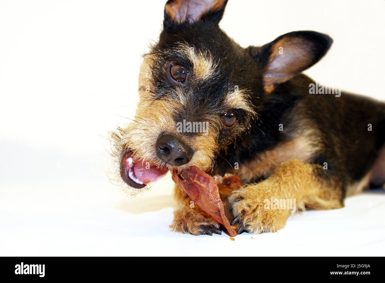 Anton hunger hi-res stock photography and images - Alamy