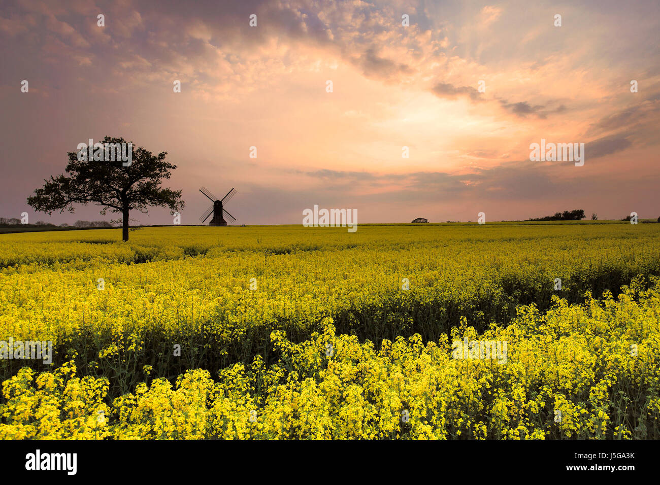 Sunset over Stevington Windmill; Stevington village; Bedfordshire ...