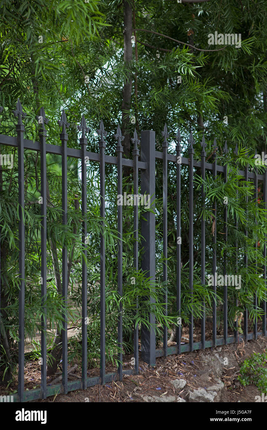 House behind trees hi-res stock photography and images - Alamy