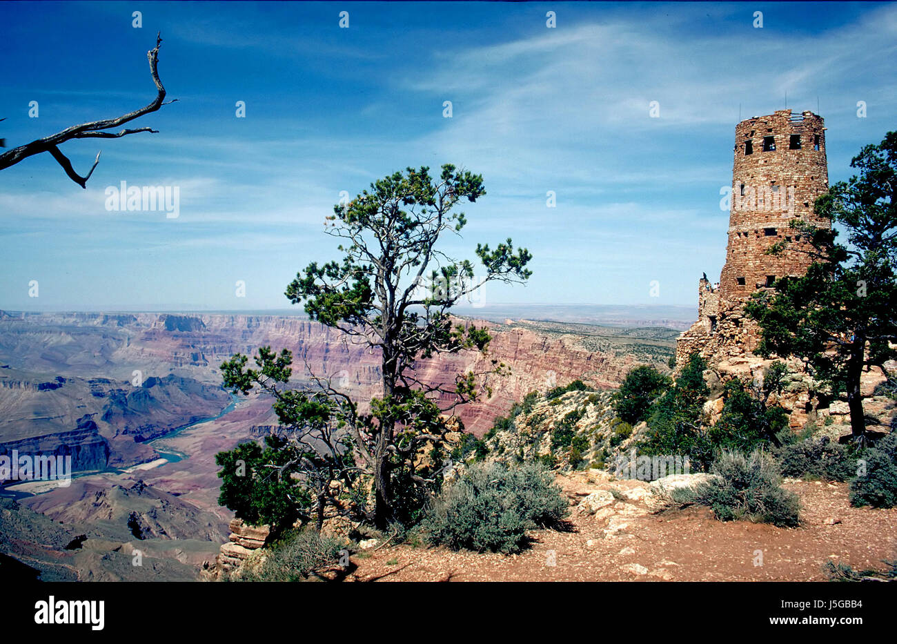 tower arizona Canyon dessert tower tree horizon width usa rock america ...