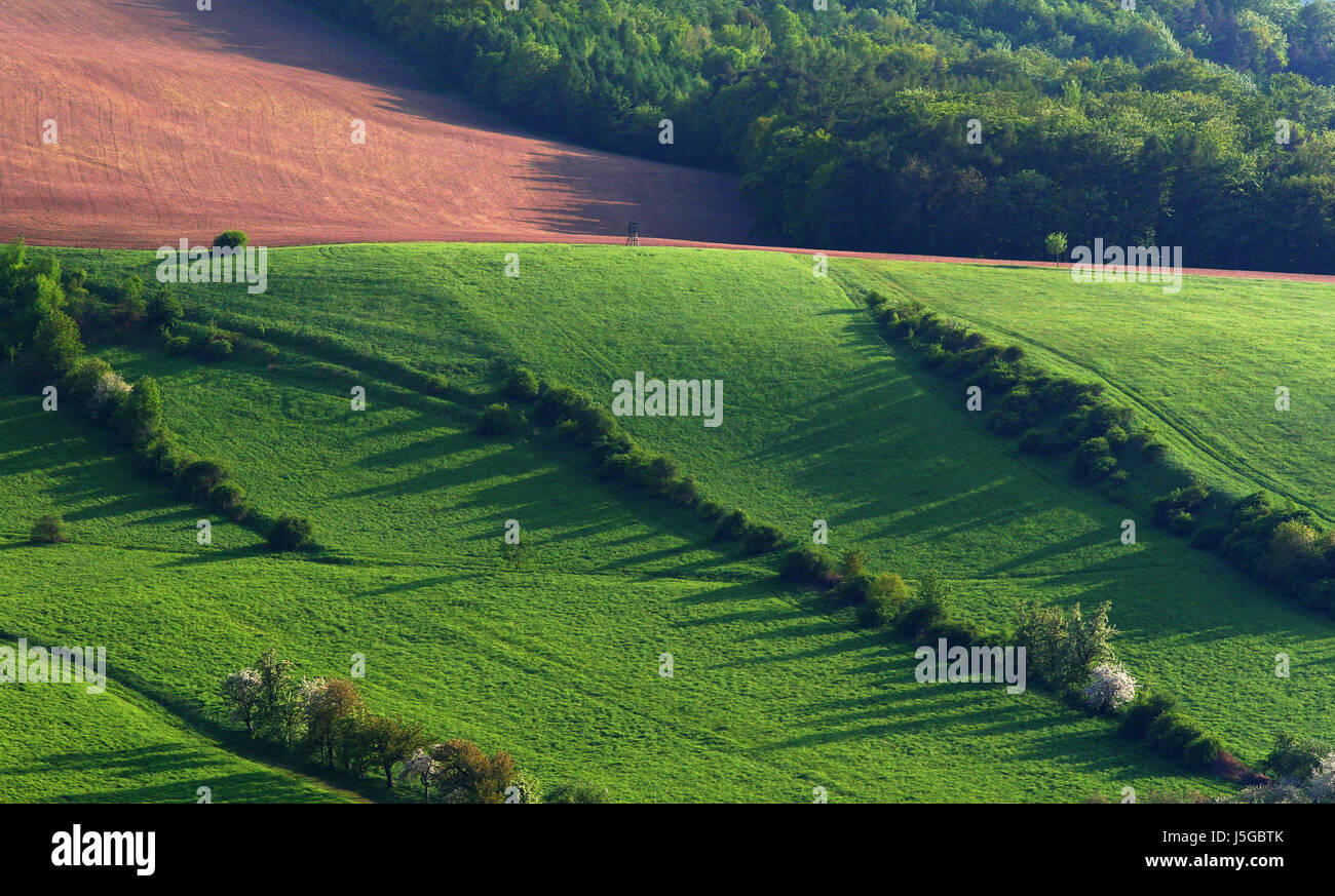spirit of nature Stock Photo - Alamy