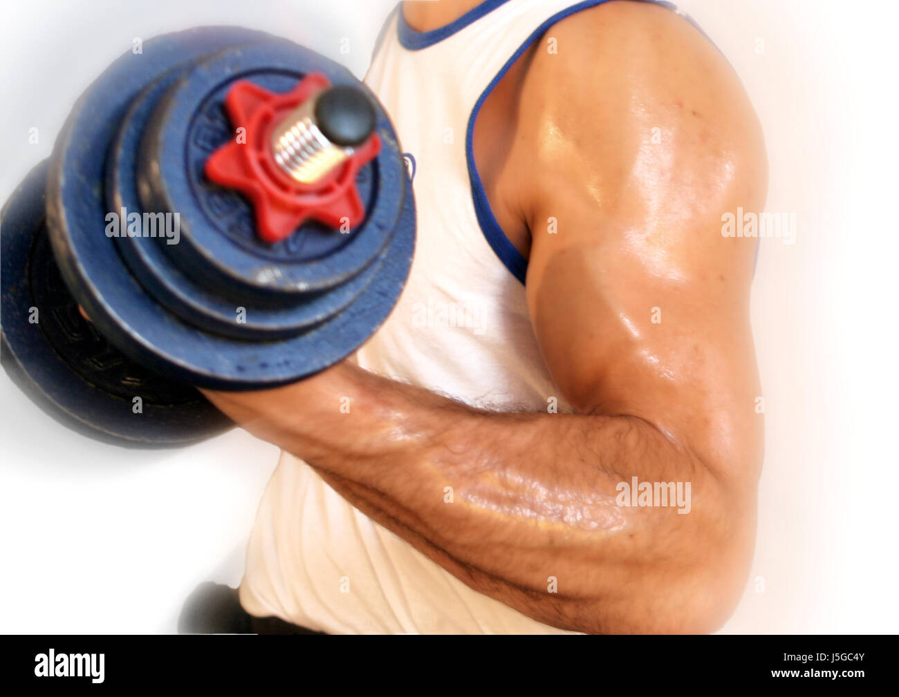 sport sports strong muscles sportsman through-trained training dumb ...