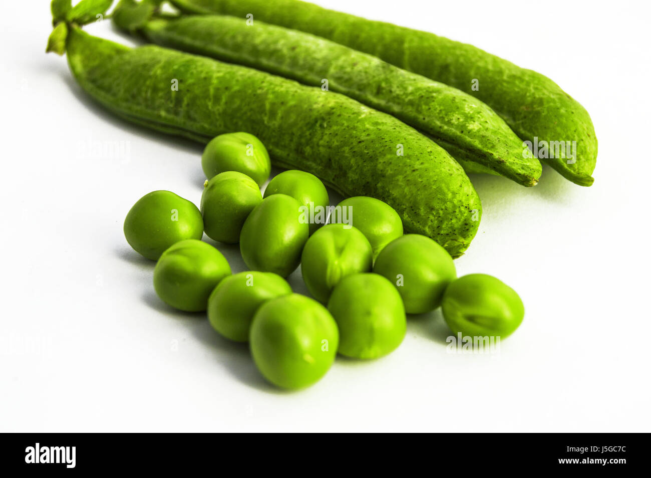 Pictures of peas and pea grains with white background on peas back to ...