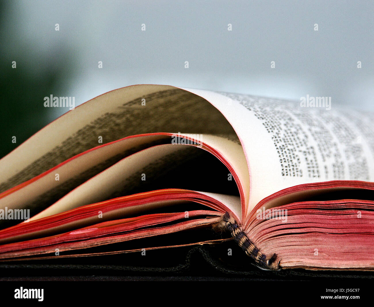 Unfolded book hi-res stock photography and images - Alamy
