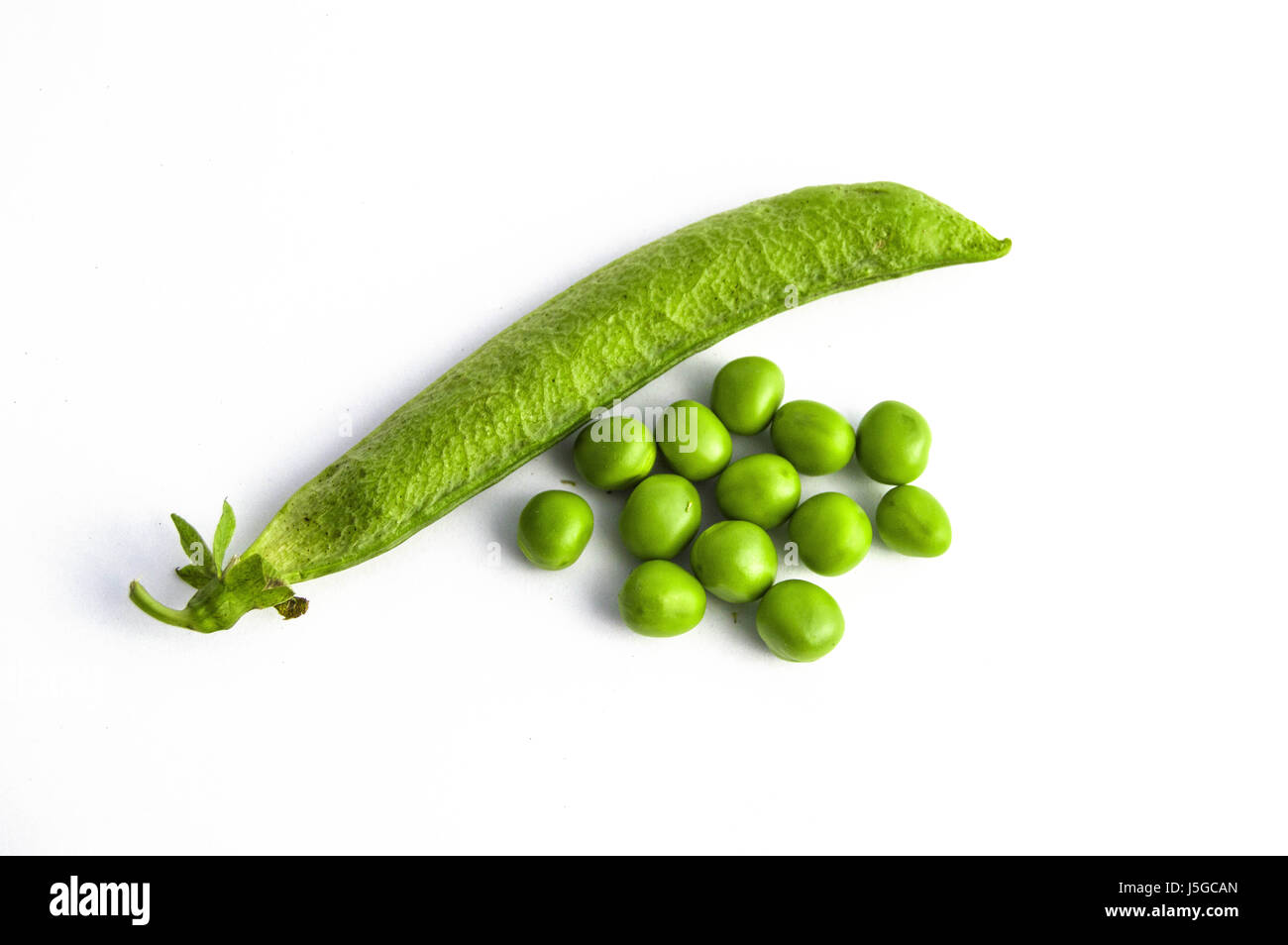 Pictures of peas and pea grains with white background on peas back to ...