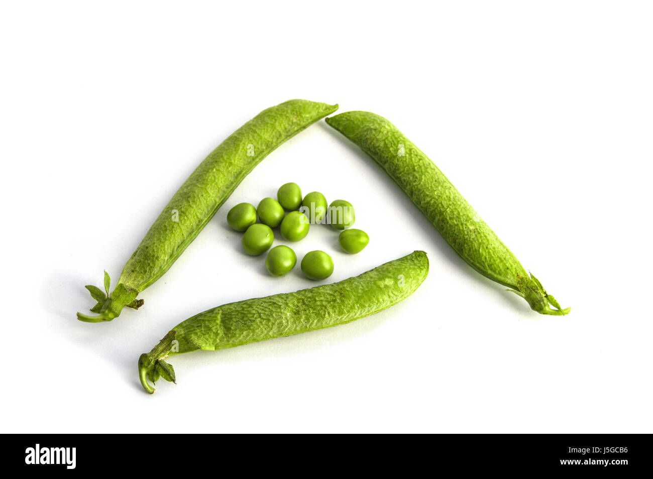 Pictures of peas and pea grains with white background on peas back to ...