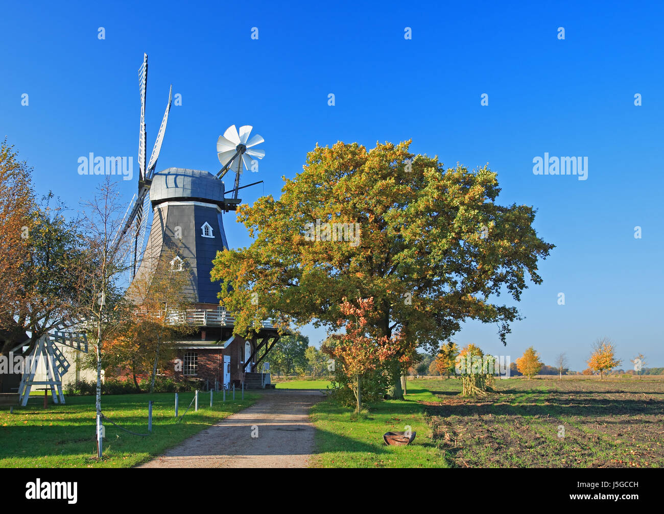 wind force windmill Northern Germany autumn foliage lower saxony ...