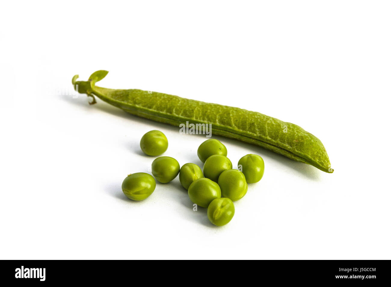Pictures of peas and pea grains with white background on peas back to ...