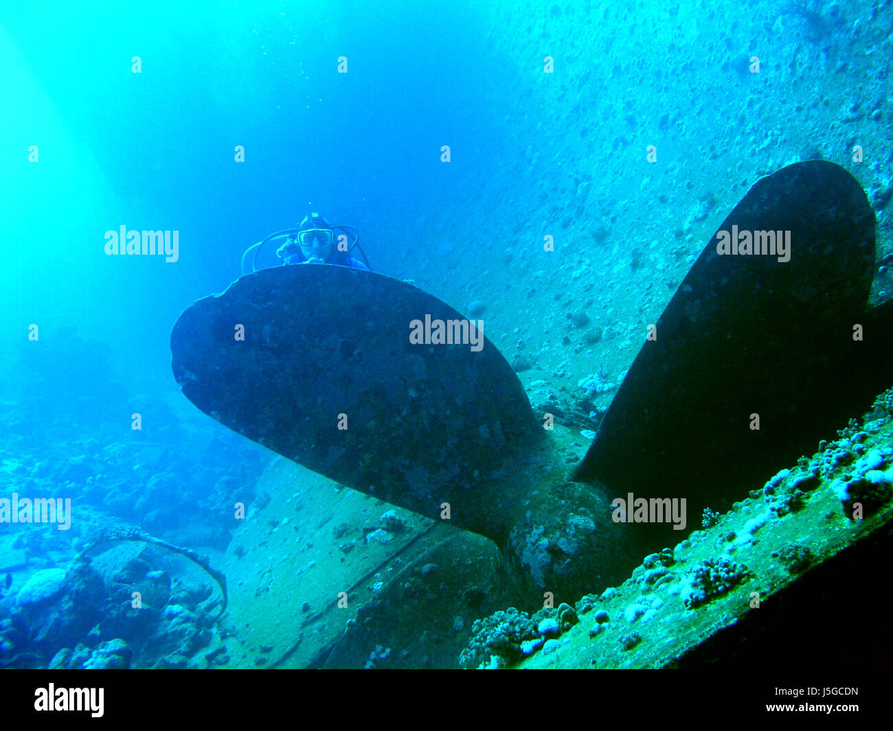 downfall underwater screw dive wreck sink reef oar back rear breakdown ...