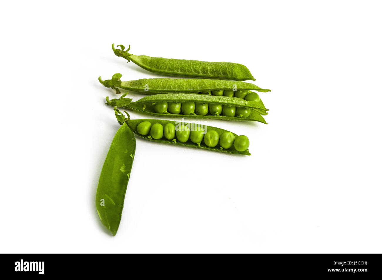Pictures of peas and pea grains with white background on peas back to ...