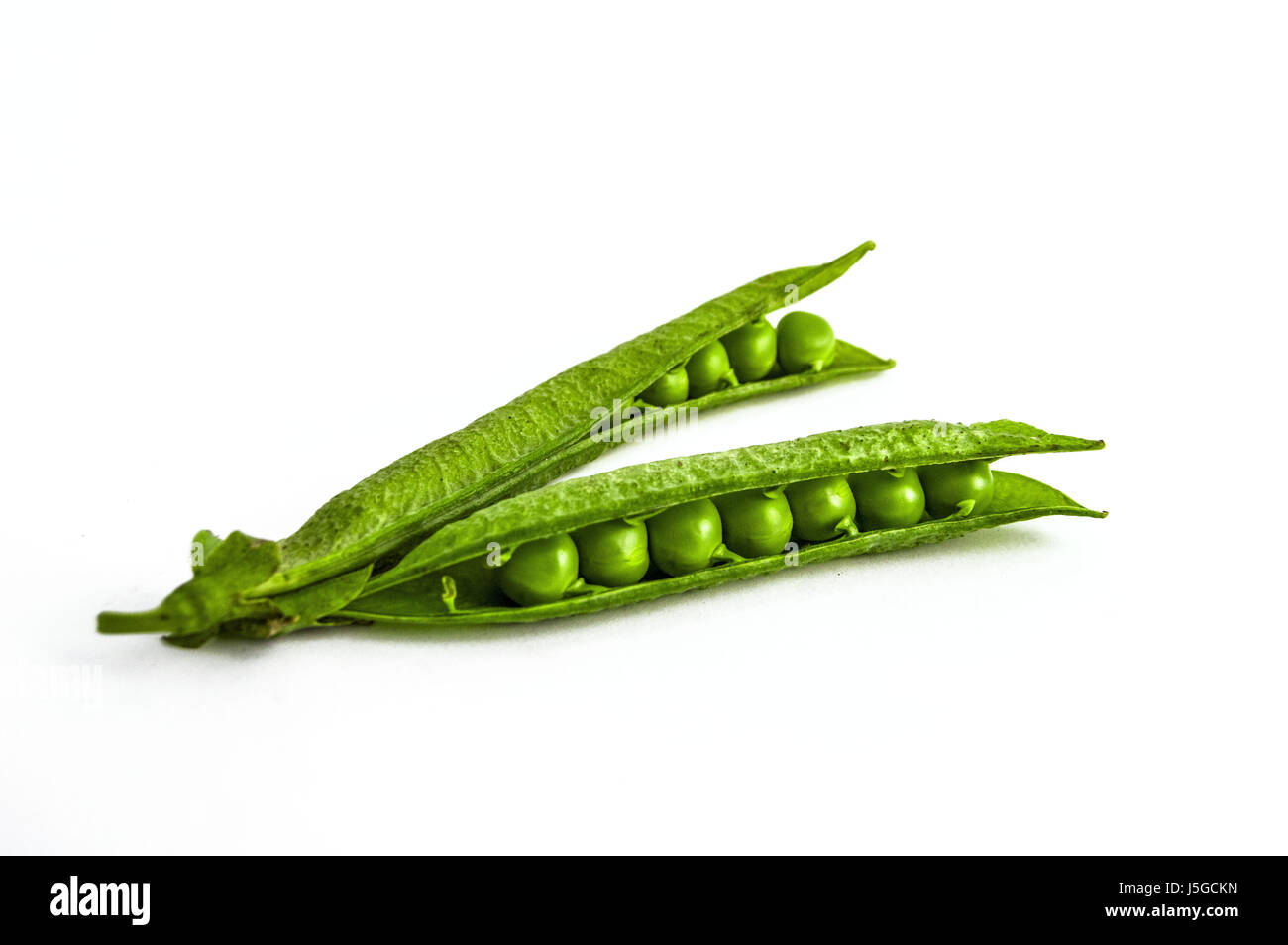 Pictures of peas and pea grains with white background on peas back to ...