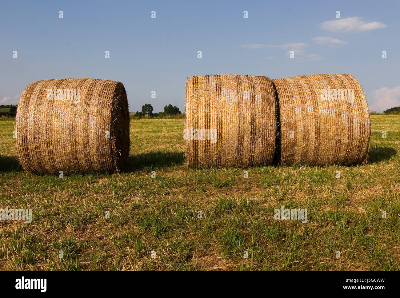 fodder horizon agriculture farming roll hay winter stock pointed at ...