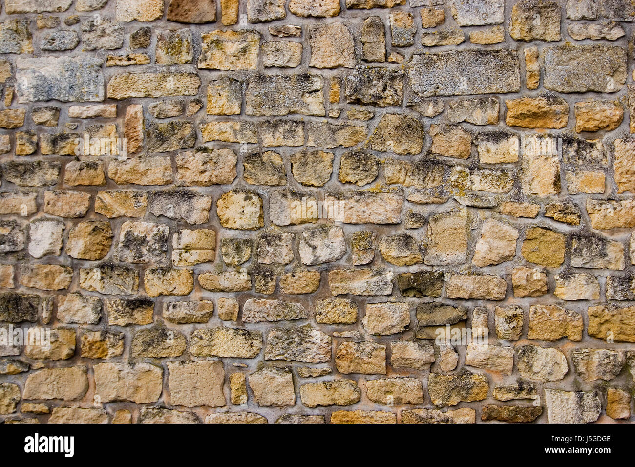 stone wall sandstone moss mortar plait lichens fugues join backdrop ...