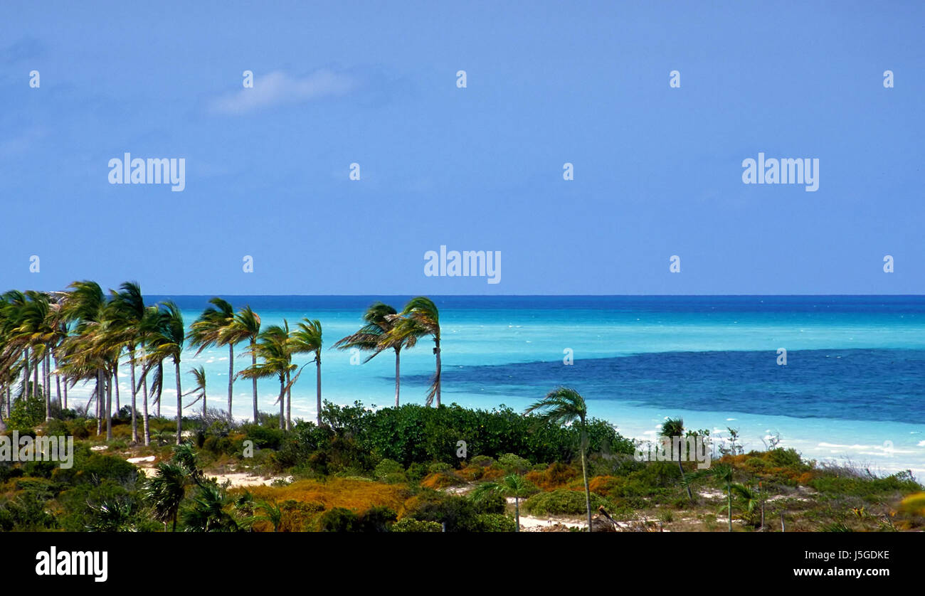 the sea off cuba in beautiful colors Stock Photo - Alamy