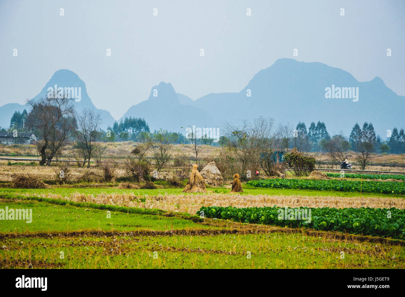 The colorful countryside scenery in autumn Stock Photo - Alamy