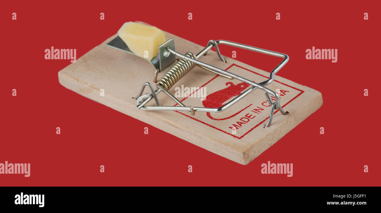 danger fodder risk animal watchful rodent seductive greed sneak plague ...