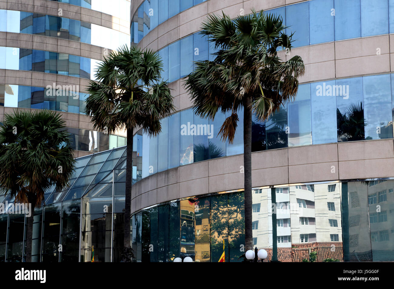 Fort Colombo Sri Lanka Palm Trees in Front of Twin Towers World Trade ...