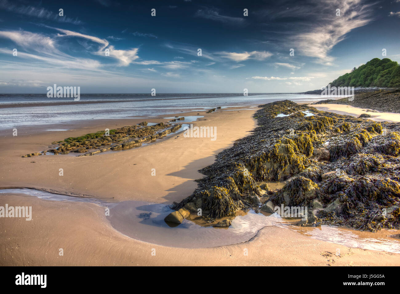 HDR image of the beach, seaweed covered rock and honeycomb worm reef at ...