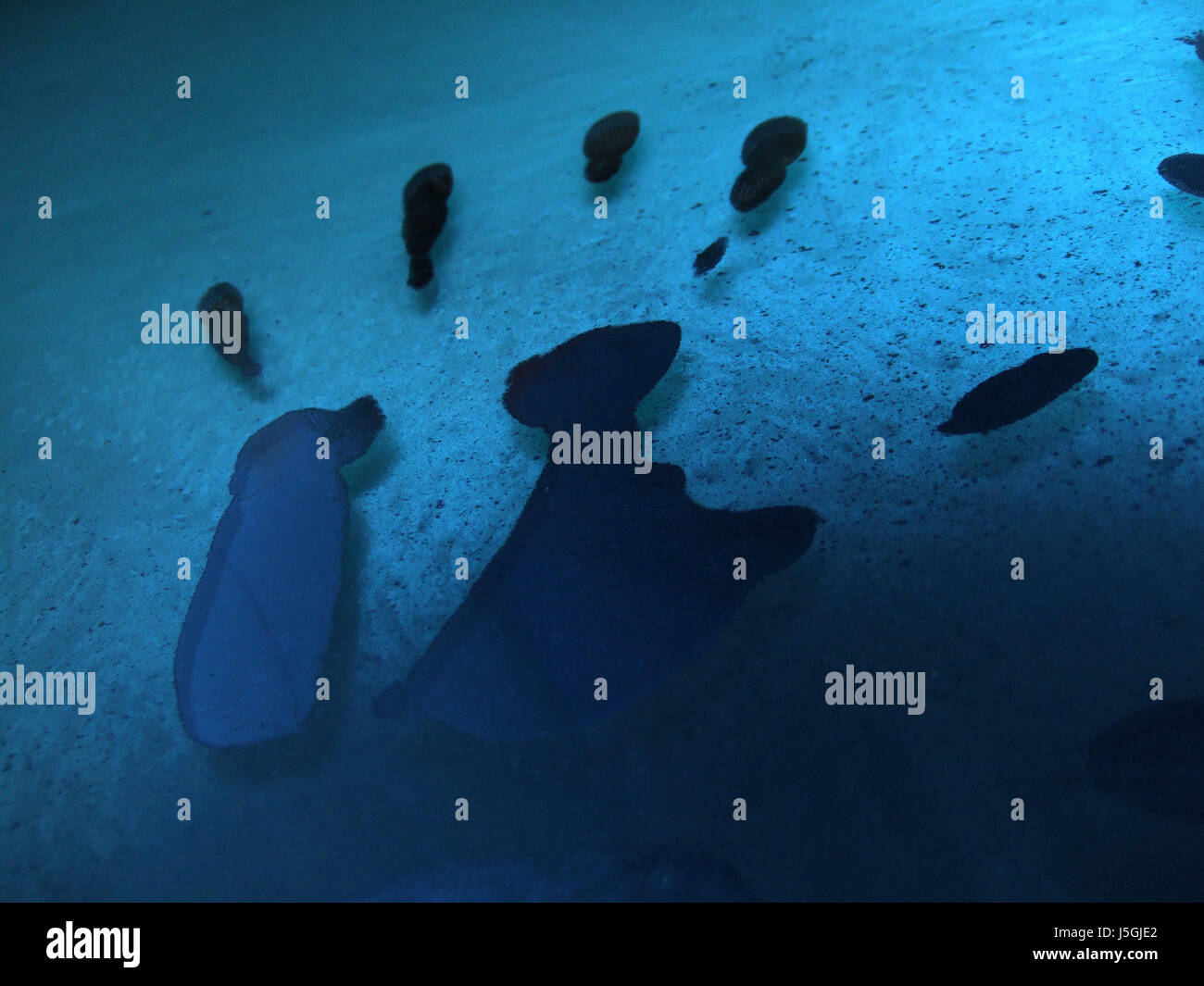 sign signal hand finger cold ice crime disc uncanny track to take hold ...