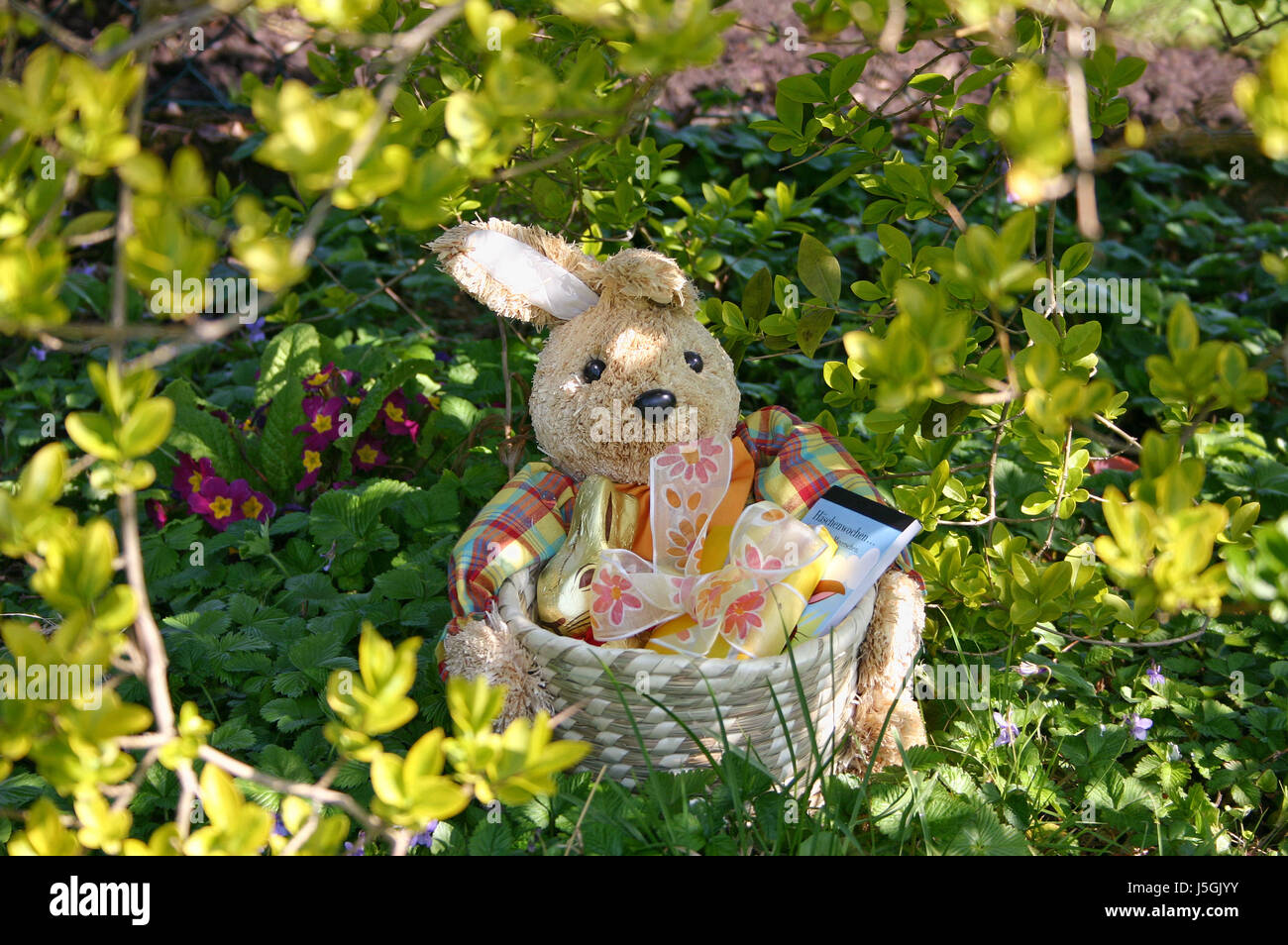 green easter hare bush voltage easter-bunny hidden hiding-place ...