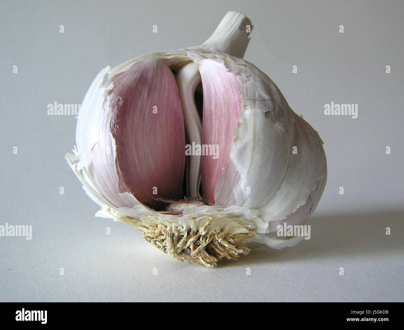 health kitchen cuisine tuber garlic smell clove of garlic vampire ...