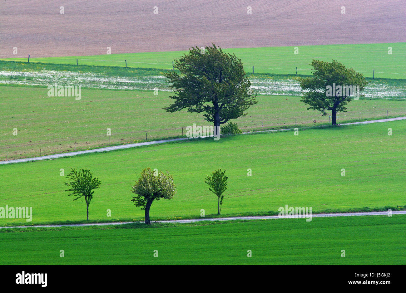spring scenery countryside nature tree trees agriculture farming dirt ...