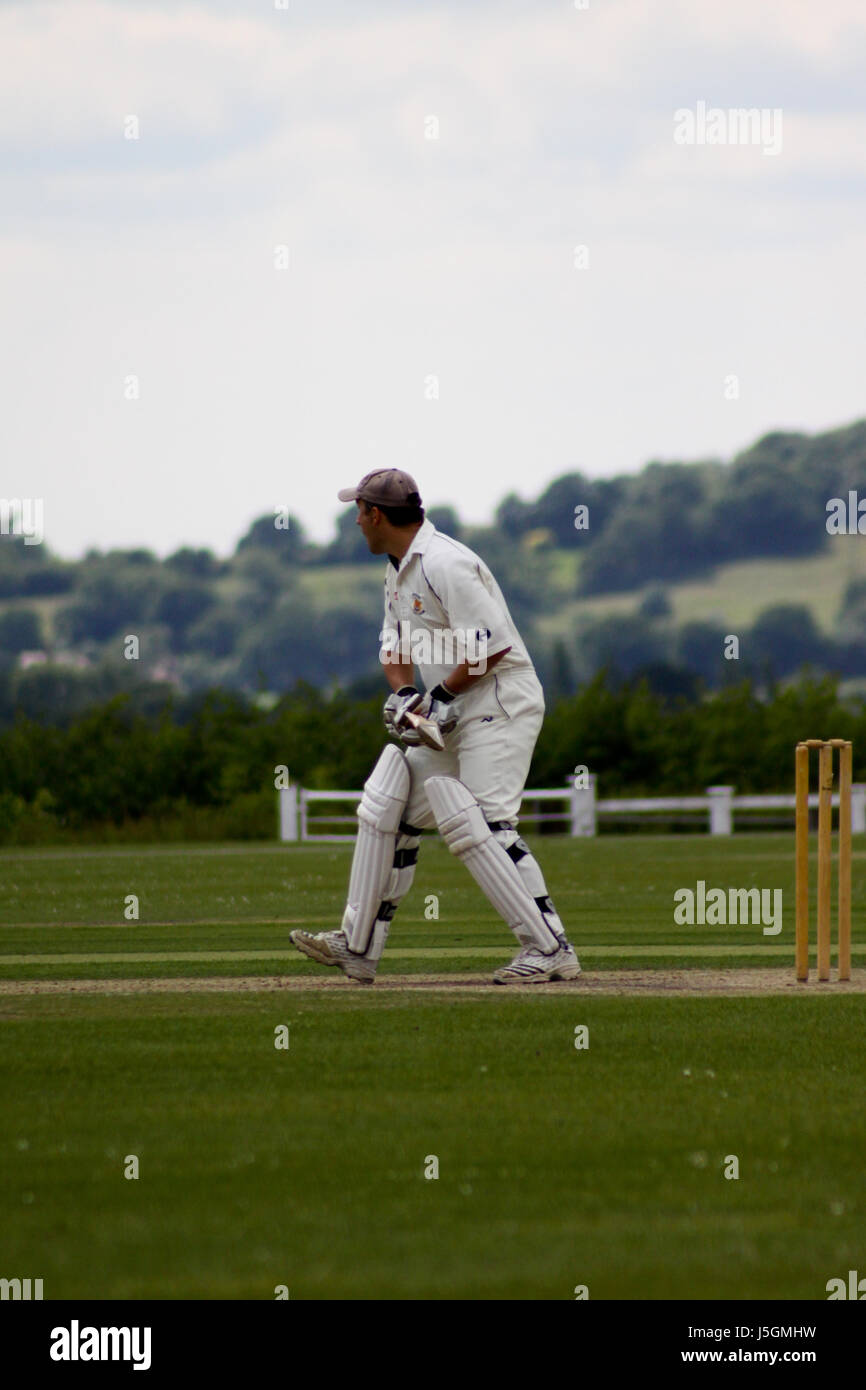 Batting crease hi-res stock photography and images - Alamy