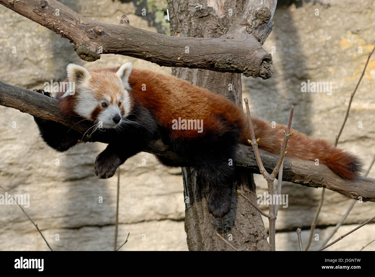 Hanging around hi-res stock photography and images - Alamy