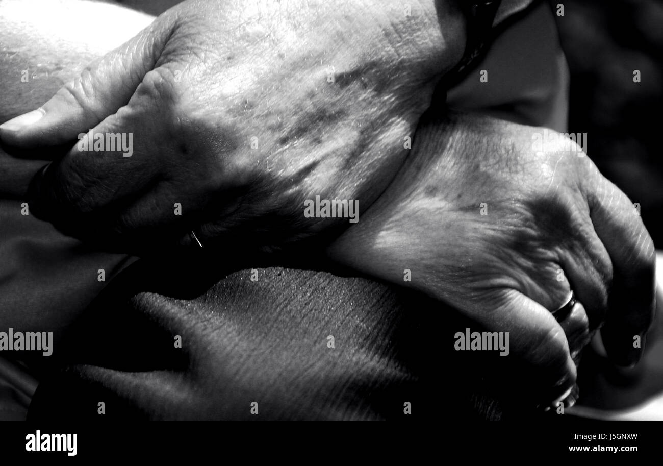 hand hands seniors senior citizens the elderly elderly people elderly ...