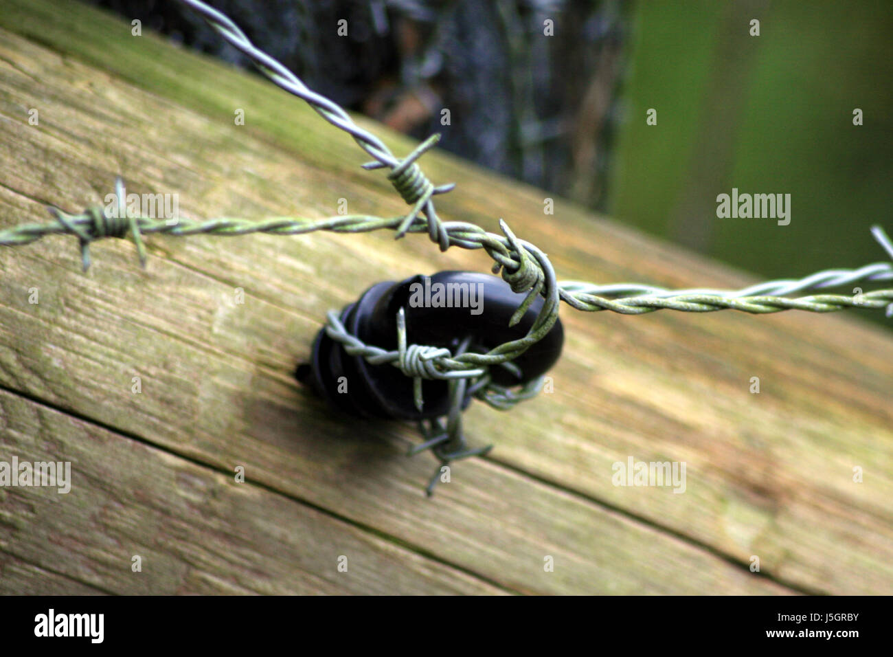 bucolic agriculture farming pointed fence metal wire landlive animal ...