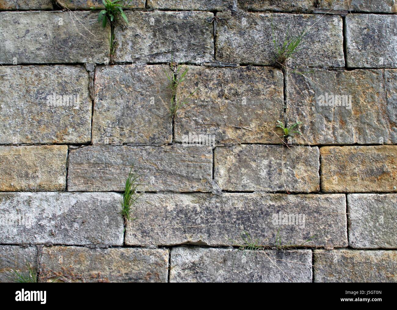wall stonewall joint background image chink compound structure grey ...