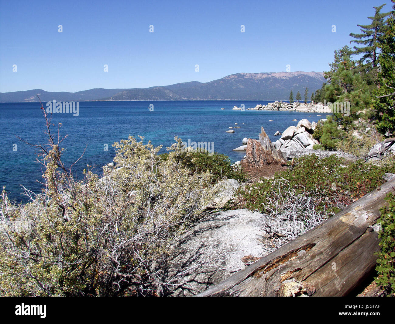 blue national park cold beach seaside the beach seashore usa rock ...