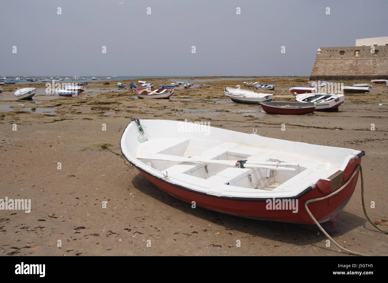 beach seaside the beach seashore atlantic ocean salt water sea ocean ...