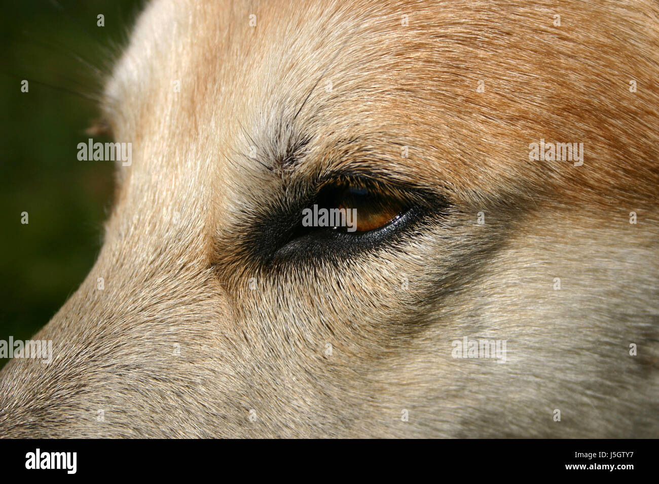 the view into the distance iv Stock Photo - Alamy