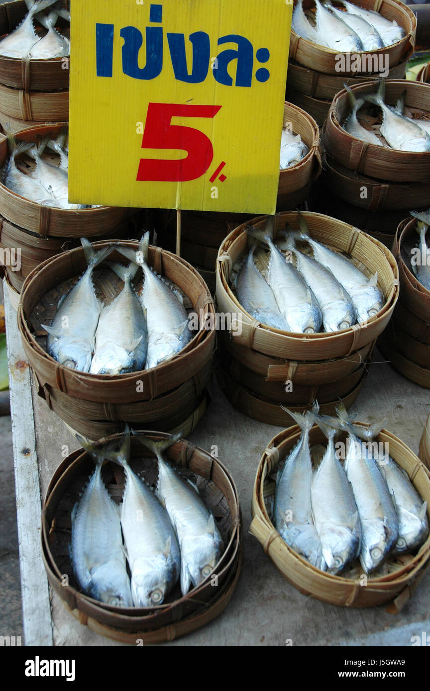 5 bath fish Stock Photo - Alamy